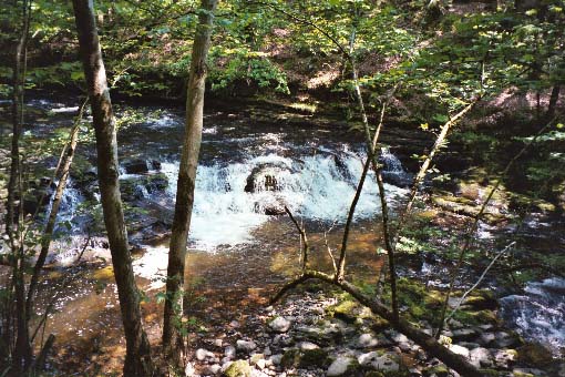 Brecon Beacons' Waterfalls :: Brilwalks.Com