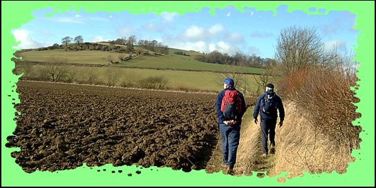 Around Meon Hill :: Brilwalks.Com