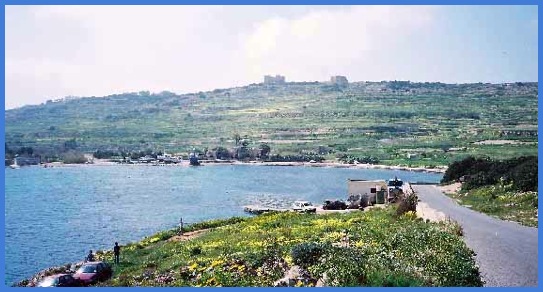 Mellieha Walks :: Brilwalks.Com